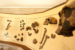 Koobi Fora – National Museums of Kenya